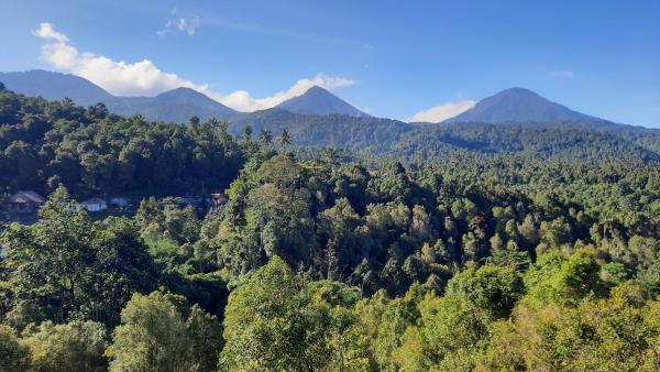 Munduk Twin Homestay - Munduk
