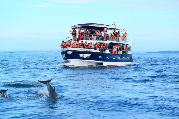 Whale Paradise Cruise Tours - Mirissa