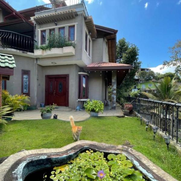 D Lion Villa - Kandy