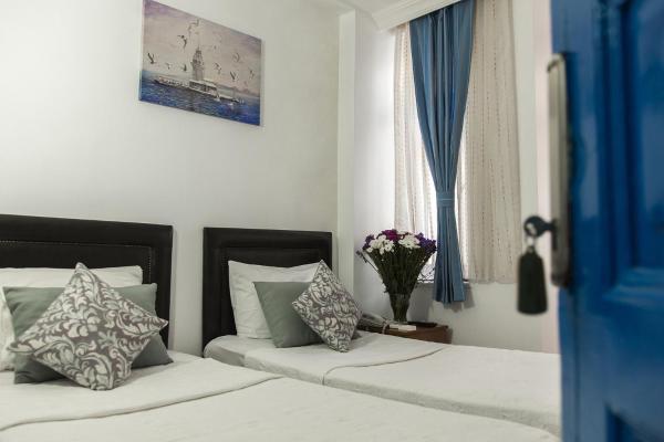 Tulpan House-twin Room 1 In An Ancient Greekhouse - Istanbul