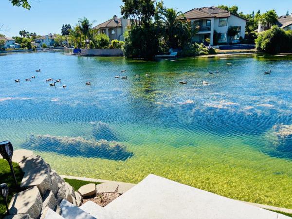 Experience Serenity Luxe 4bdr Lake House 25ft Pool - Elk Grove