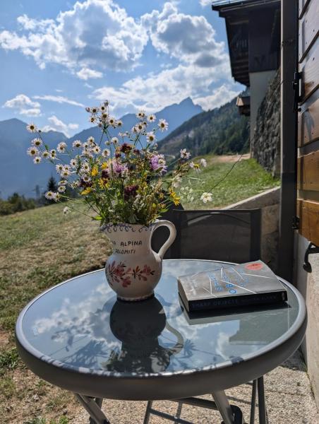 Casa Cecilia Dolomiti - Scenic Views, Pets Welcome - Agordo