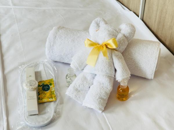 Alina Home Baku Hostel - 바쿠