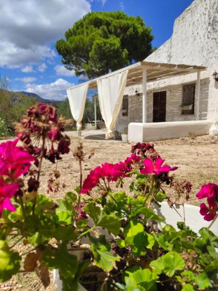 Rustico Del Capitano - Scopello, Italy