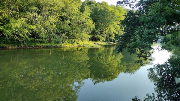 Big Darby Creek Cottage - West Jefferson, OH