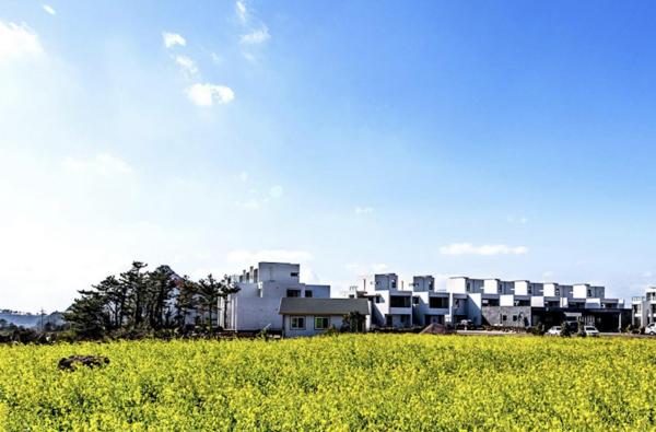 산방산애리조트 - 濟州特別自治道