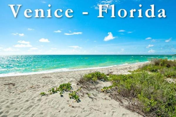Great Shape After Milton-pool Home Wows! Po - Venice, FL