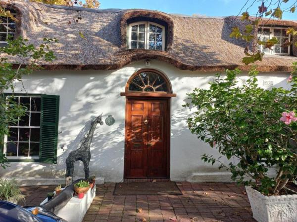 Meyerhof - Cape Town