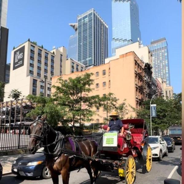 Hudson Yard - Hoboken, NJ