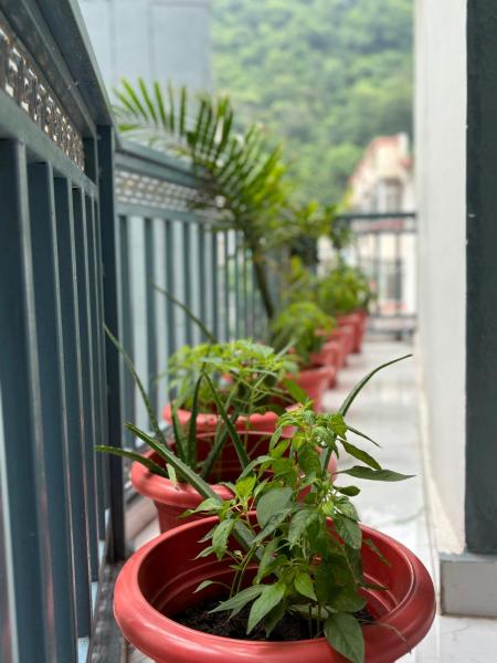 Namastey Guesthouse - Rishikesh