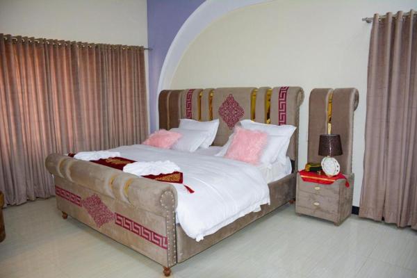 Cozy Nest - Pakistan