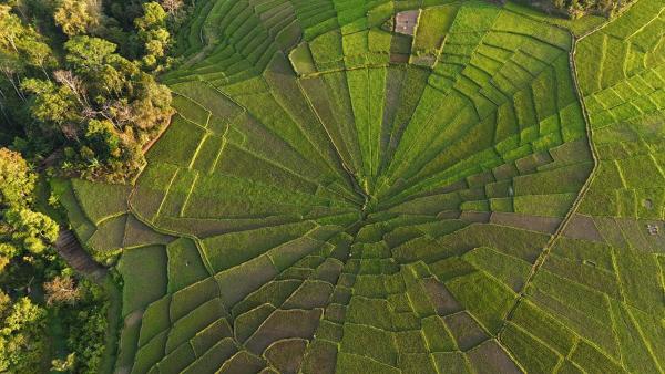 De Po'ong - East Nusa Tenggara