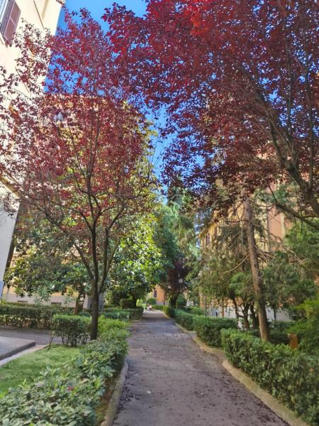 Suite Tevere Star - Rome