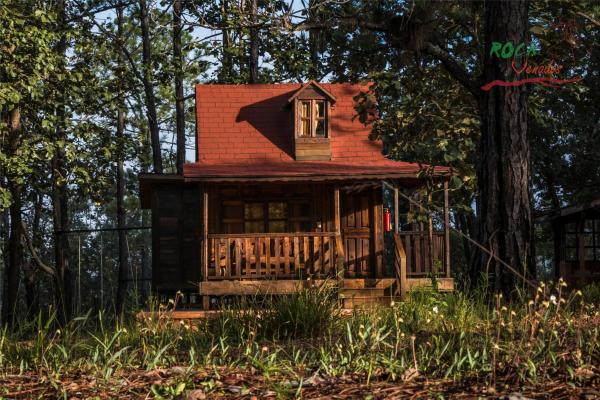 Cabaña Venado Refugio En El Bosque Para 3 Personas - Jalisco