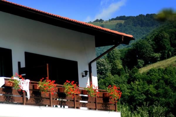 Spa Hotel Planinata - Ribaritsa