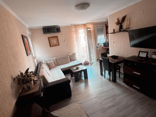 Studio Apartment For Rent In Budva - Budva