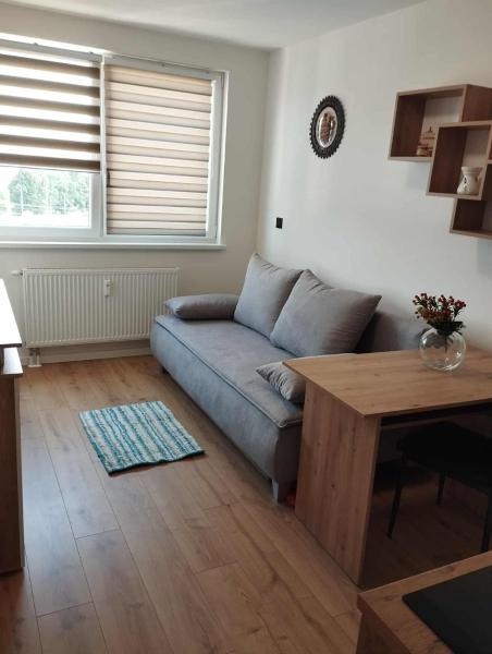 Studio Krivá - Kassa