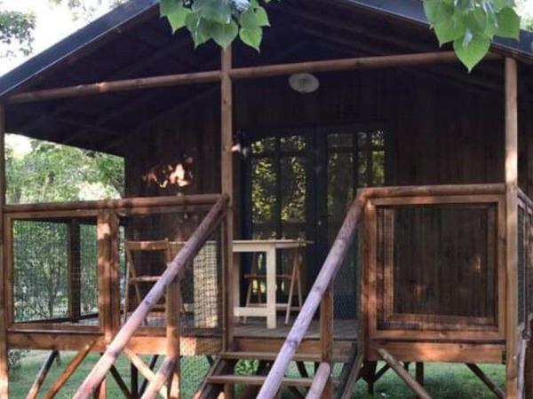 Chalet Sur Pilotis Avec Terrasse Pour 4 Personnes - Api-1-52-496 - Condom