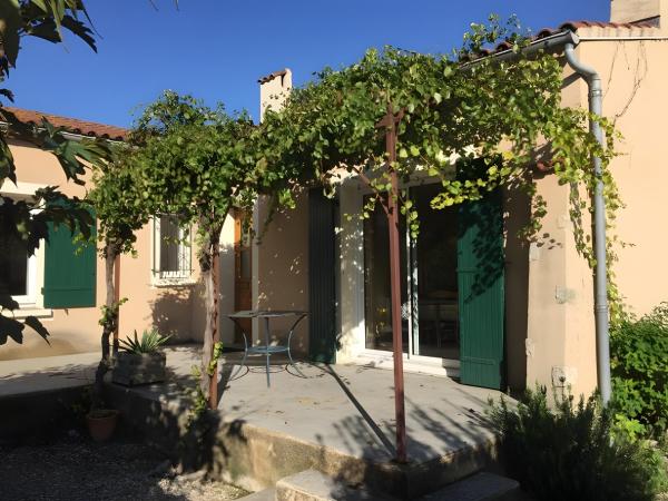 Le Saule - L'Isle-sur-la-Sorgue
