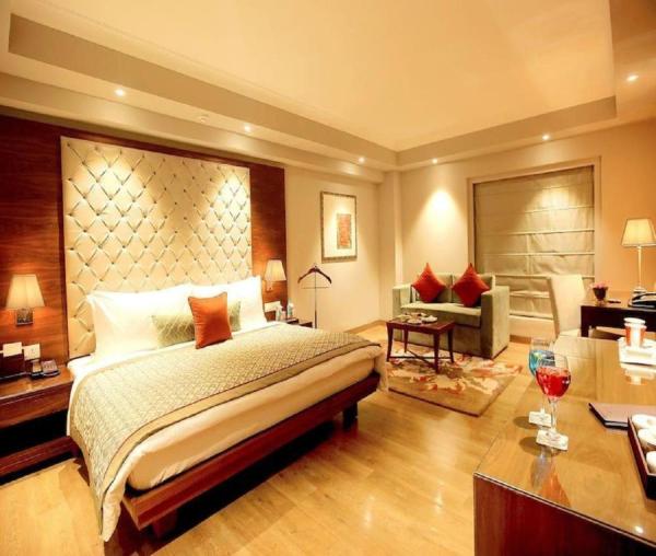 Hotel De Plaza Near Delhi Airport - Nueva Delhi