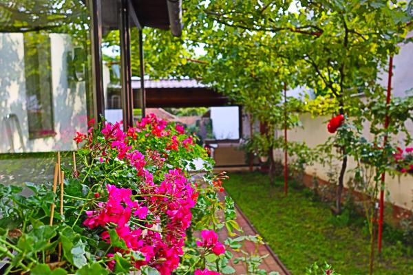 Ana's Home - Nagyszeben