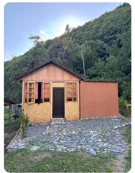 Dzveli Kokhi - Georgia