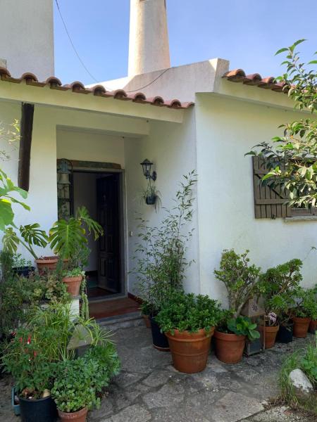 Regenerative Living Cascais - Colares