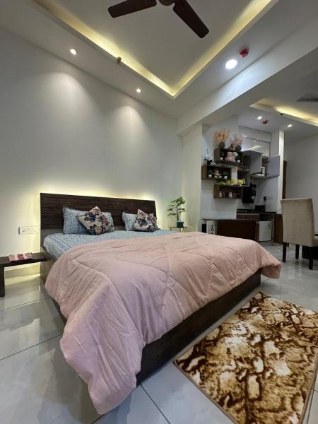 Cozy And Luxury Downtown Studio - 노이다