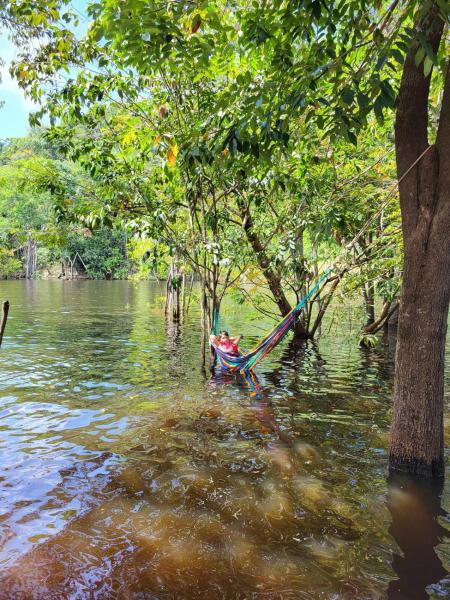 Refúgio Na Floresta - Manaus