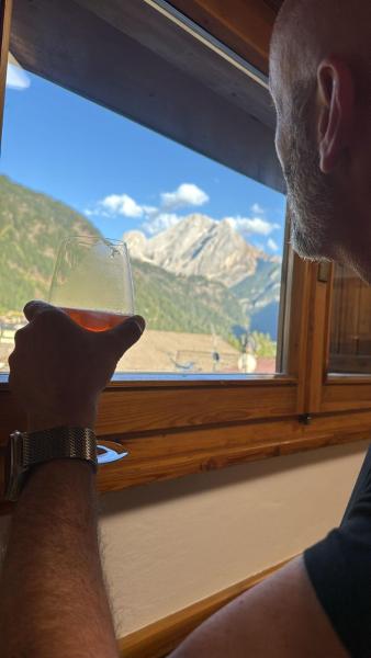 Appartamento Dolomites Con Box Privato - Selva di Val Gardena