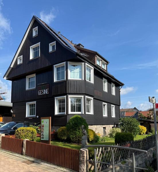 Villa Gesine - Harz
