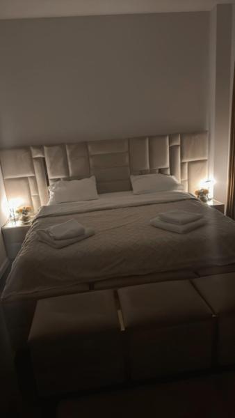 Adela & Robert Home Cu Piscină șI Parcare Privată - Giroc