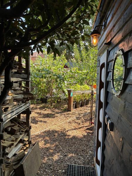 The Orchard - Portsmouth