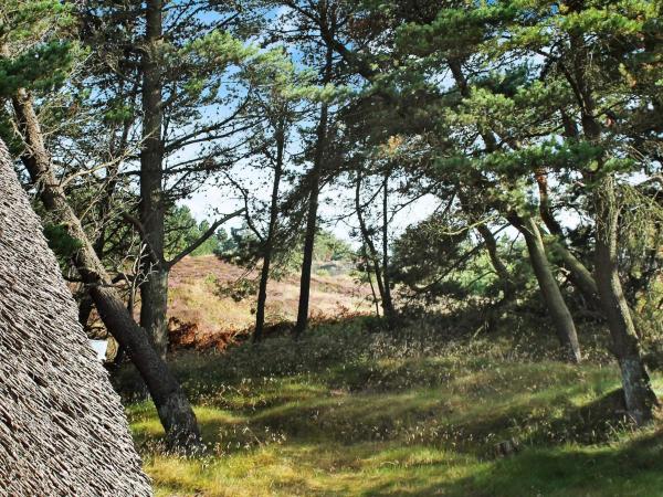6 Person Holiday Home In Rømø-by Traum - Rømø