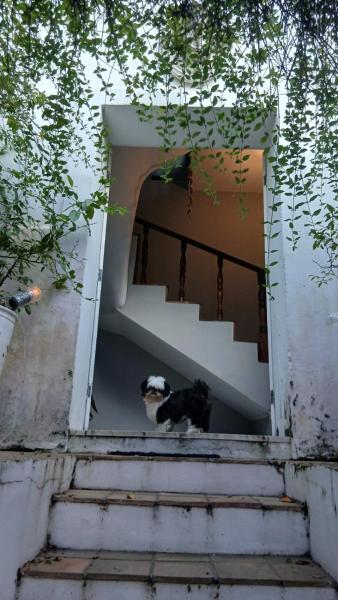 Hostel Triplo J E Guest House - Barra, Brazil