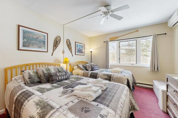 Alpine Retreat Efficiency At Rivergreen - New Hampshire (State)