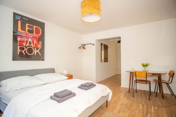 Central Studio Apartment With Free Baselcard - Munch - Basel