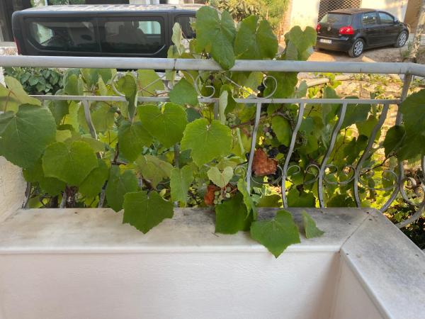 Spare Room - Saranda