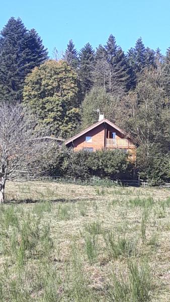 Chalet Des Bruyères - Gérardmer