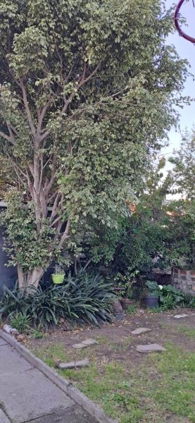 Clay Stone Cottage - Cape Town