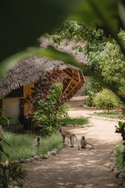 The Jungle Pearl Resort - Tanzania