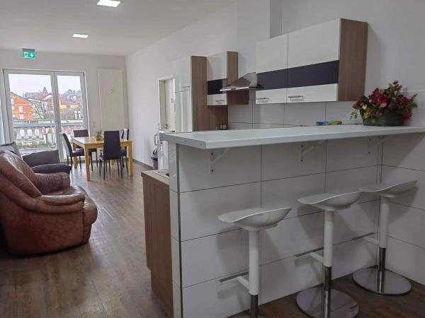Spacious Worker Apartments With Rooftop Terrace - Up To 21 Guests - Hockenheim
