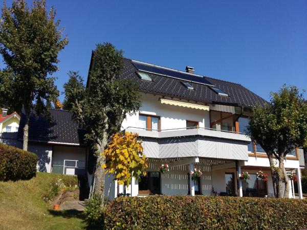 Ferienwohnung Im Malerischen Kniebis - Mitteltal