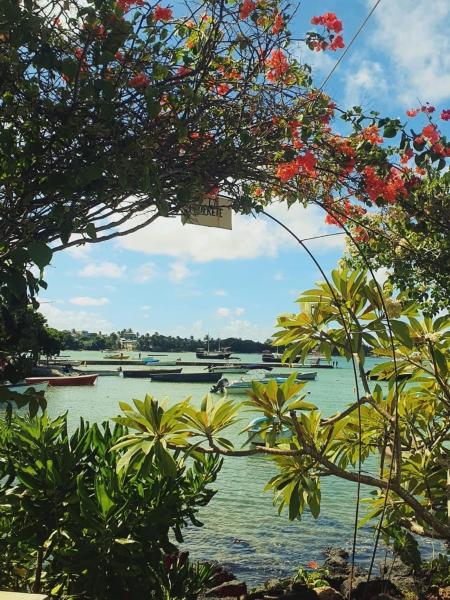 Kreolia Blue - Maurice