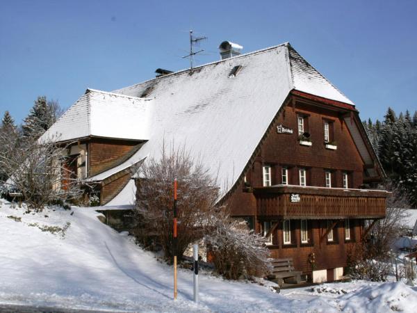 Apartment In Dachsberg-urberg - Grafenhausen