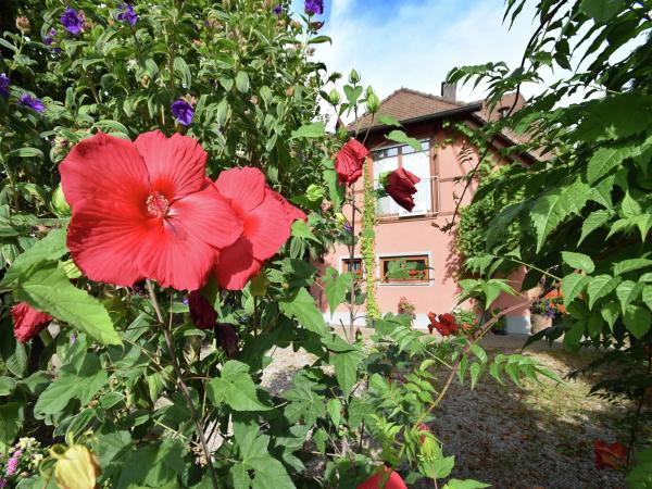 Family-friendly Apartment - Freiburg im Breisgau