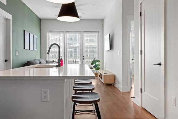 Huge Stylish Apartment In Newest Part Of Tampa - Tampa, FL