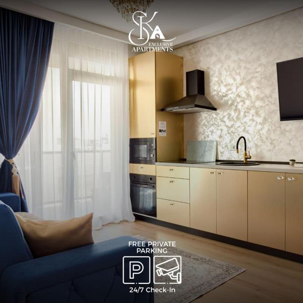 Sika Trezor Apartment Arad - Arad