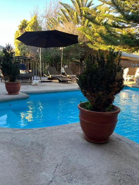Antawara Hostel - Vicuña