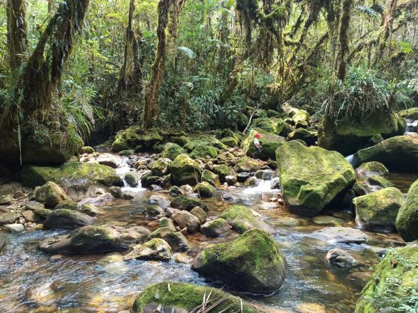 Manantial De Vida - Loreto, Peru
